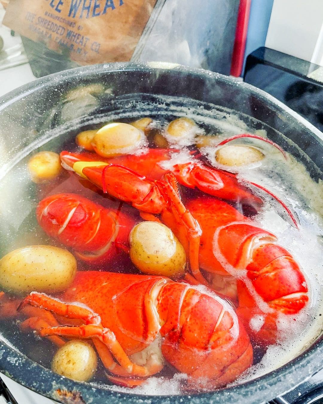 How To Cook Lobster The Maine Way - Wonders Of Cooking